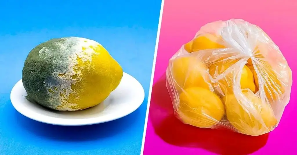 El truco para almacenar limones durante 3 meses o más y evitar que se ...