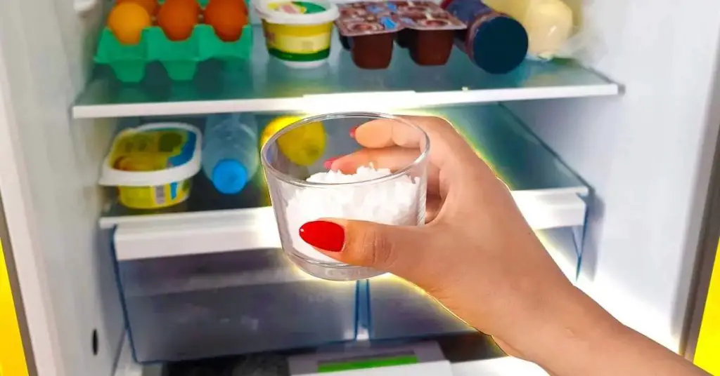 ¿Por poner bicarbonato de sodio y azúcar en la nevera? El truco poco conocido pero útil – Mis ...