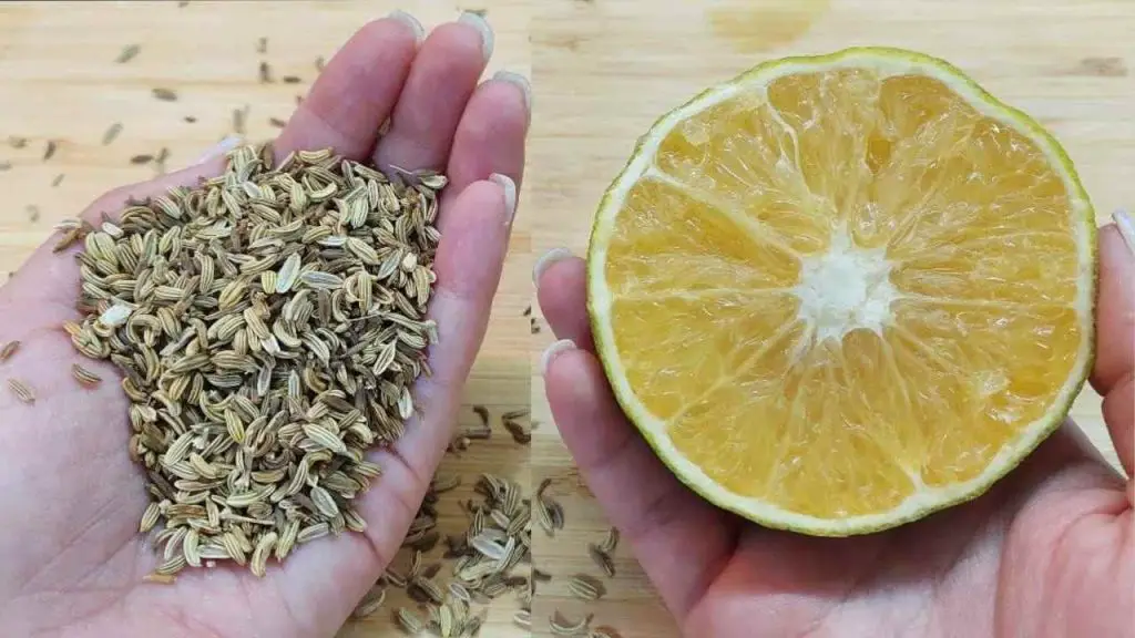 Mezcla una rodaja de limón con una pizca de romero: lo que pasa te ...
