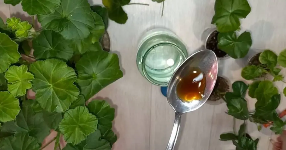 3 fertilizantes naturales muy potentes para hacer crecer todas las ...