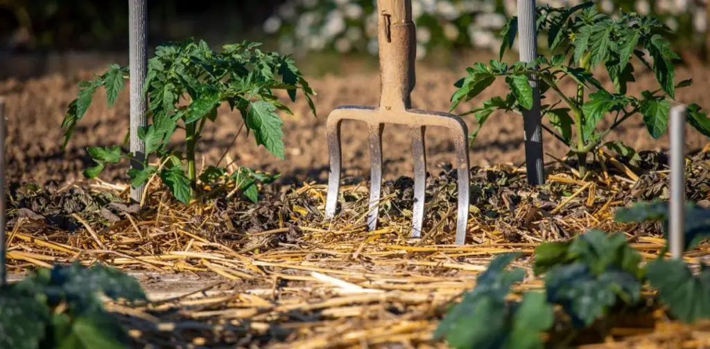 Airear la tierra en el jardín: las herramientas imprescindibles para ...