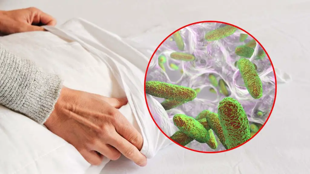 Fundas de almohada, llenas de gérmenes y bacterias: con qué frecuencia ...