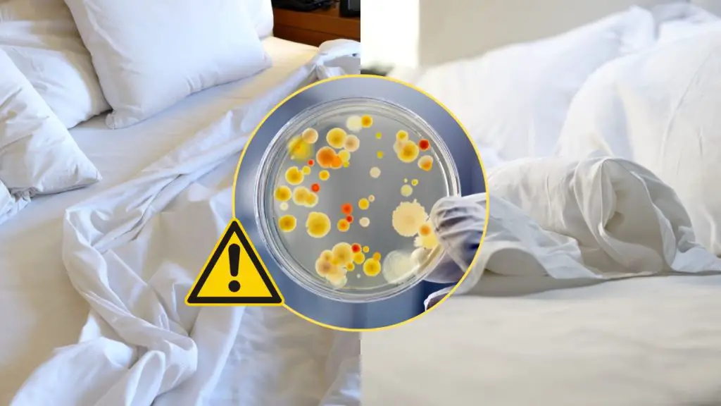 Sábanas llenas de polvo y bacterias: con qué frecuencia debes lavarlas ...